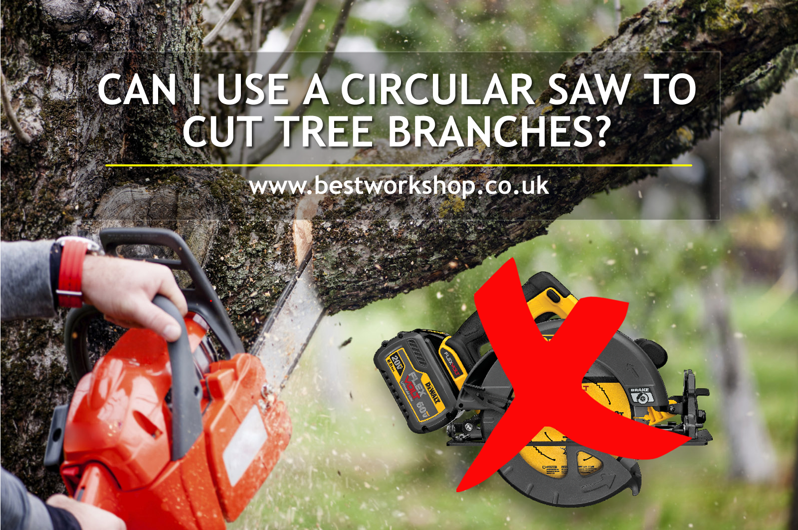 Can I Use A Circular Saw To Cut Tree Branches Bestworkshop Expert Can I Use A Circular Saw To Cut Tree Branches Bestworkshop Expert